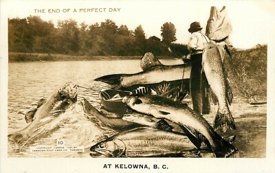 RPPC 10 Fishing Exaggeration Many Big Fish End of Perfect Day Kelowna ...