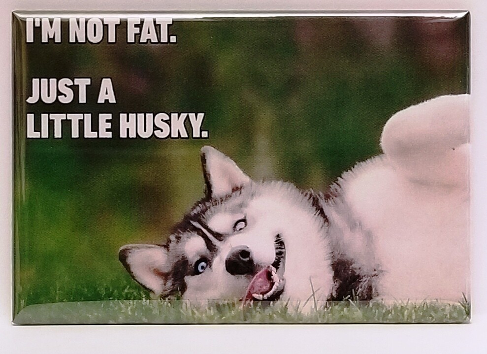 Funny Husky Meme