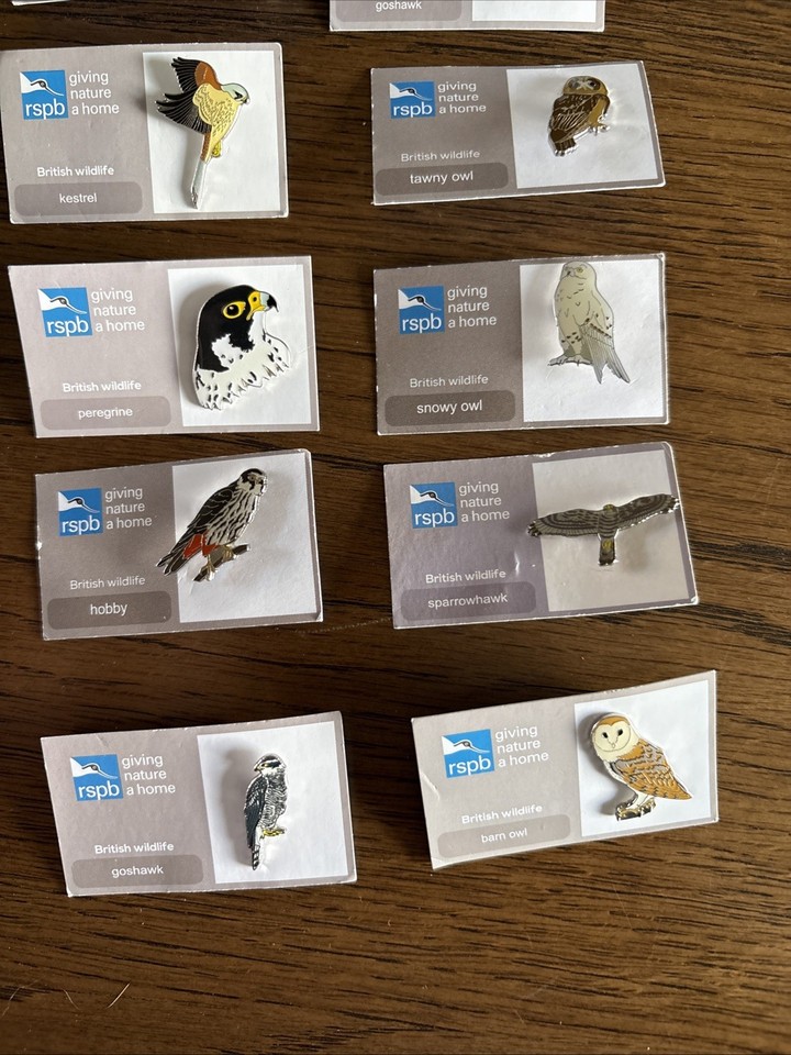 10x RSPB GREY CARD BIRD OF PREY PIN BADGES | eBay UK