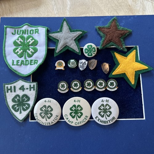 lot of 19 Vintage 4-H Patches And Pins | eBay