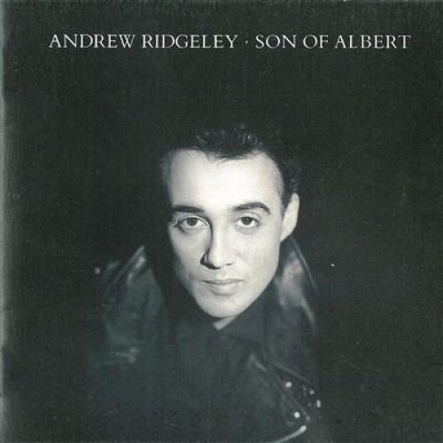 Andrew Ridgeley - CD - Son of Albert (1990) | eBay