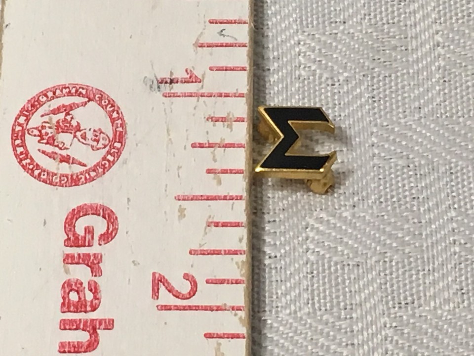 VINTAGE LAMBDA DELTA SIGMA SORORITY PLEDGE PIN - SMALL | eBay