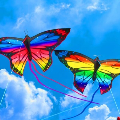 Colorful Butterfly Kite Beautiful Butterfly Children's Kite 1.45m Kite ...