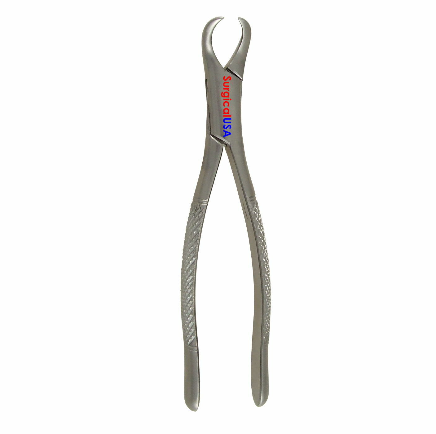 Extracting Forceps Cow Horn #23 Serrated Beaks NEW Dentist Dental ...