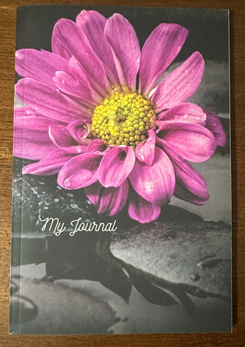 My Journal Paperback 100 Page Daily Journal | eBay