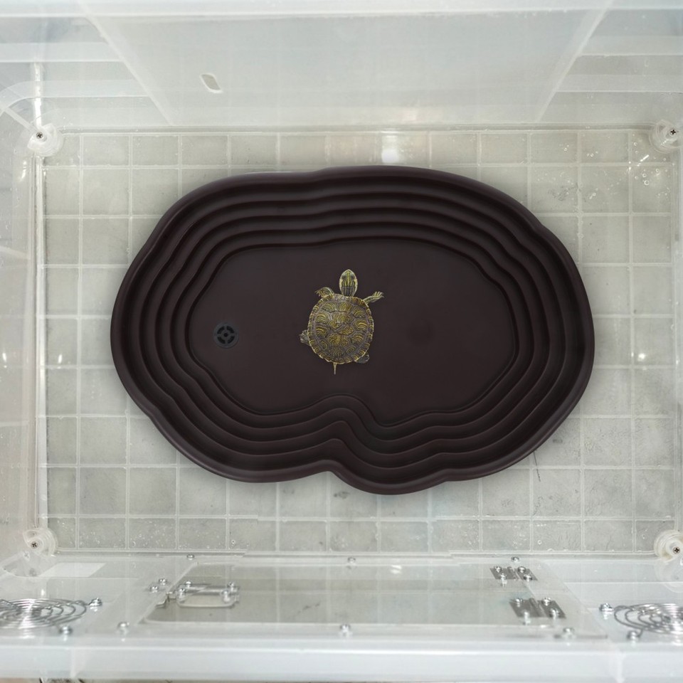 Hermit Crab Water Pool Reptile Dish Bearded Dragon Bath Frog Pond ...