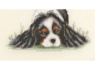 TRI CAVALIER KING CHARLES SPANIEL - Full counted cross stitch kit Fido ...