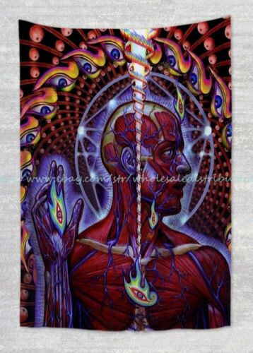 Lateralus Poster