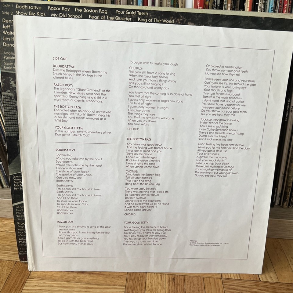 Steely Dan Countdown To Ecstasy Vinyl Lp Record VG+ | eBay