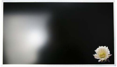 MSI Model# MS-16Q4 LCD LED Screen 15.6" FHD 144hz 7ms Gaming Display ...