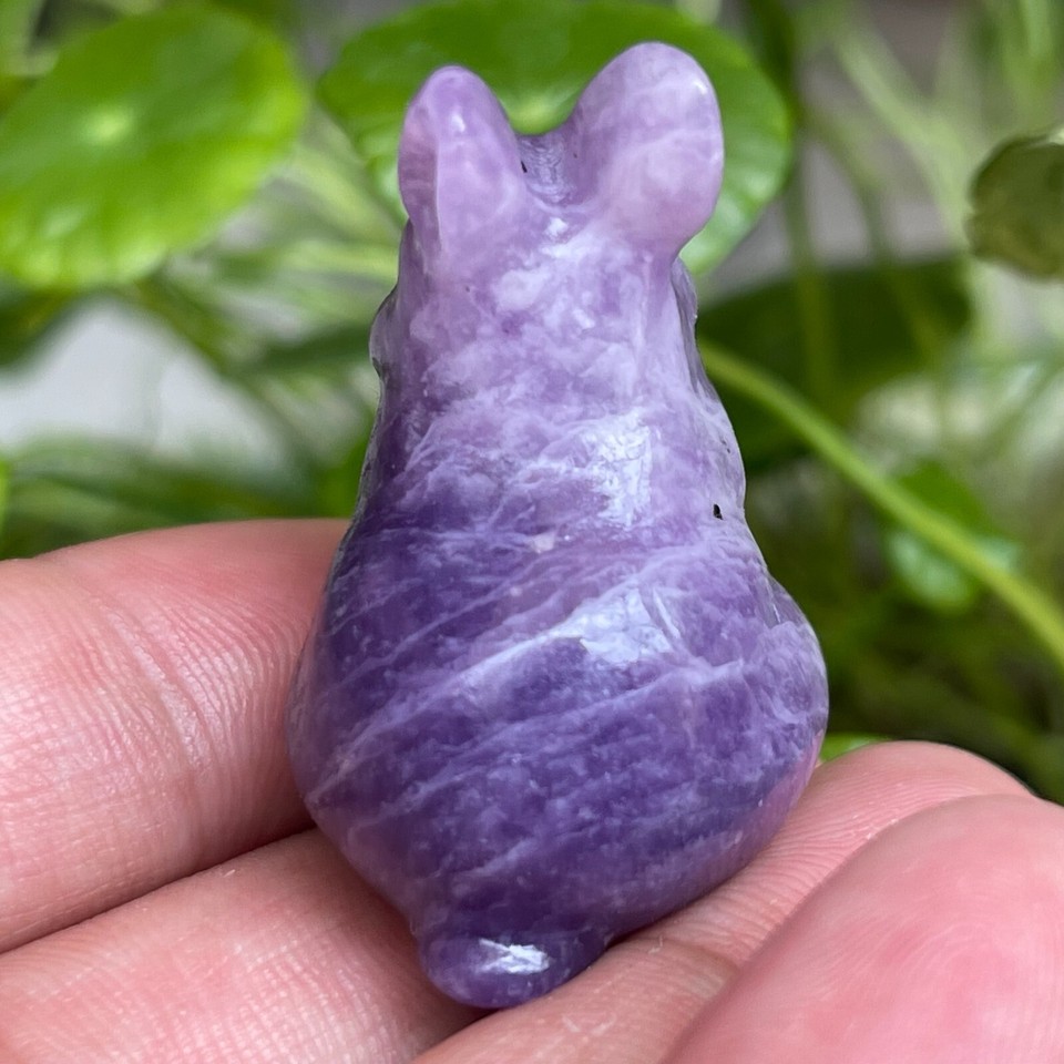 1.5" Natural ussingite Quartz hand Carved Crystal rabbit gem Reiki ...