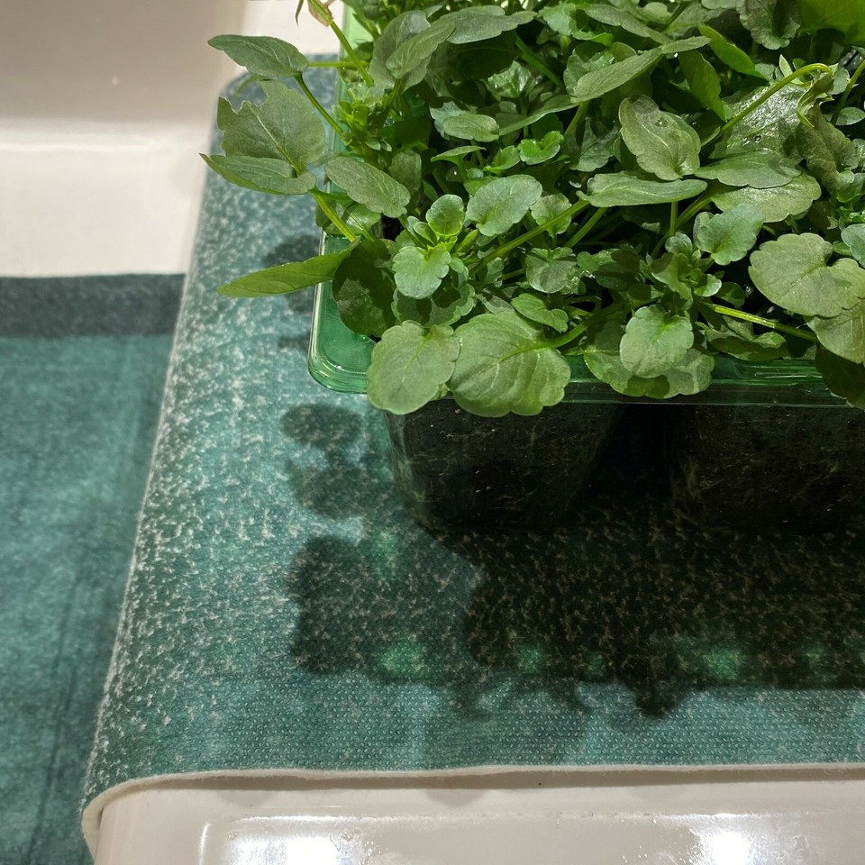 5m x 53cm Capillary Matting Fabric Watering Mat Greenhouse Hydroponic ...