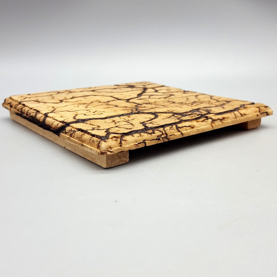 Lichtenberg Electrical Lightning Pyrography - Burnt Wood Plaque ...