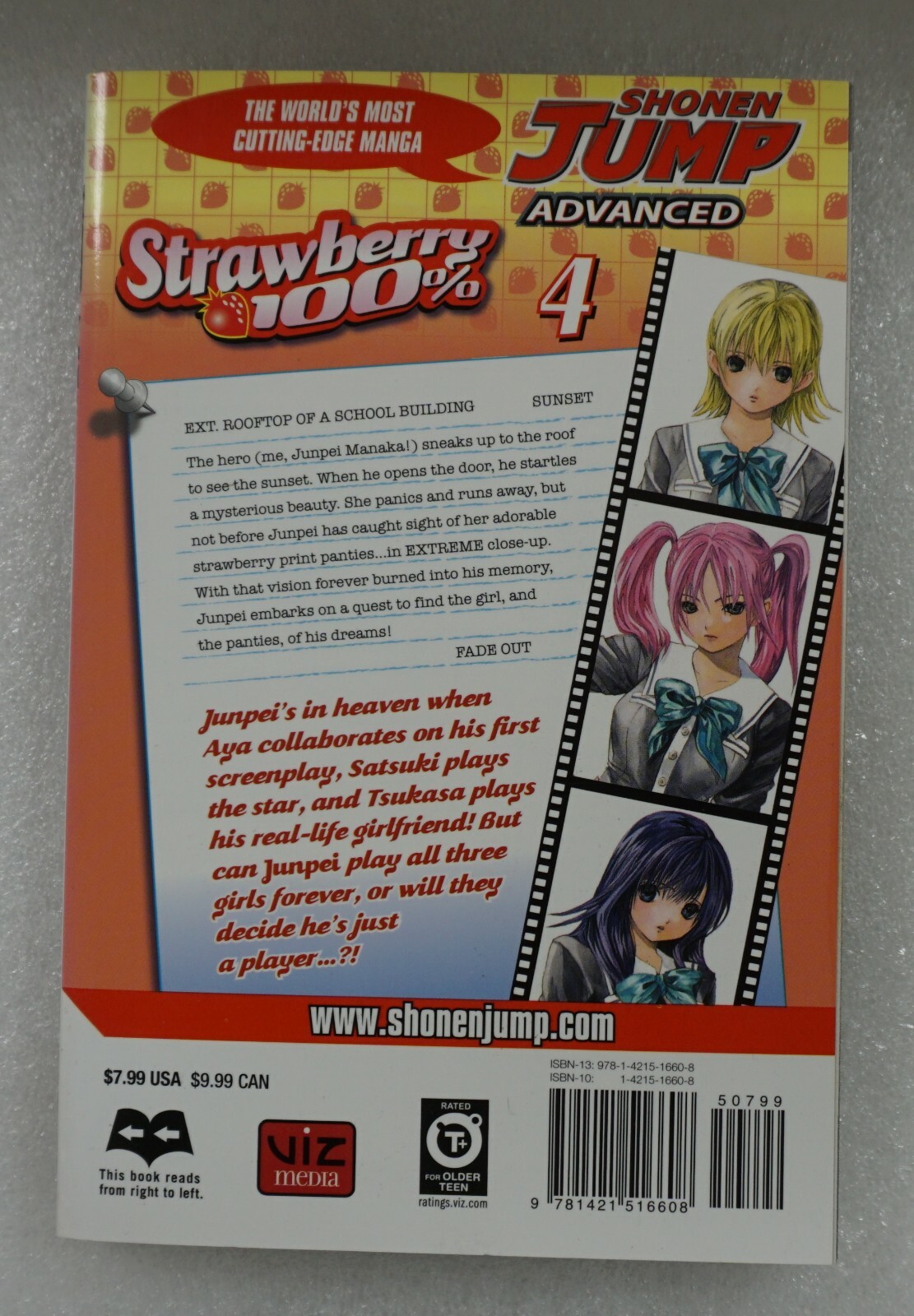 Strawberry 100% #4 (Viz April 2008) for sale online | eBay