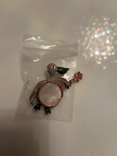 Pelican Playing Banjo Pin | eBay