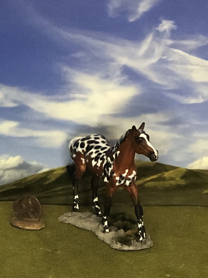 OOAK Breyer cm Custom Stablemate TB Horse x D. Williams *Bay Appaloosa ...