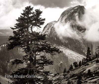 1970/80 Vintage ANSEL ADAMS Landscape Yosemite Dome Tree Cloud Tritone ...