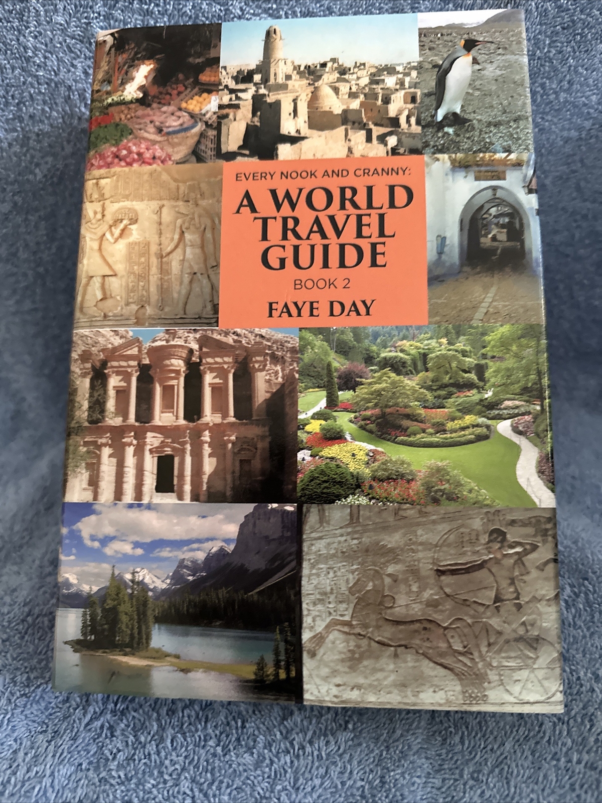 Every Nook and Cranny: Book 2 by Faye Day (Hardcover, 2017) Brand New ...