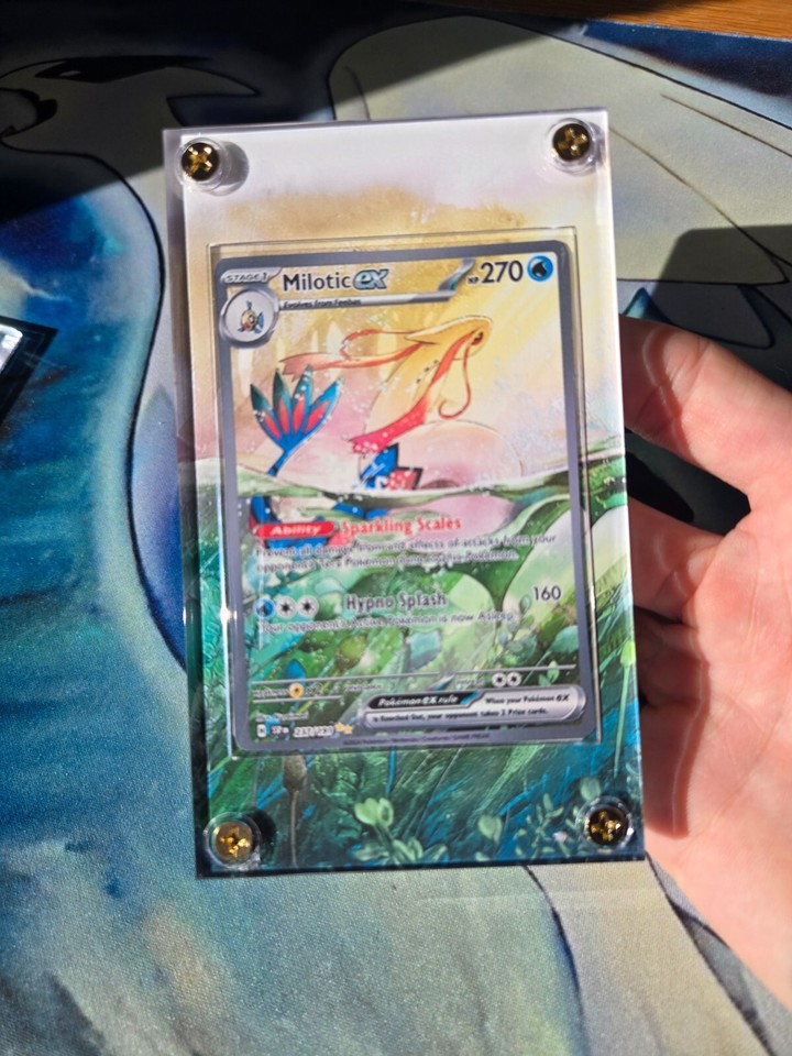 x2 Milotic EX Feebas 237/191 198/191 IR Custom Display Case from ...