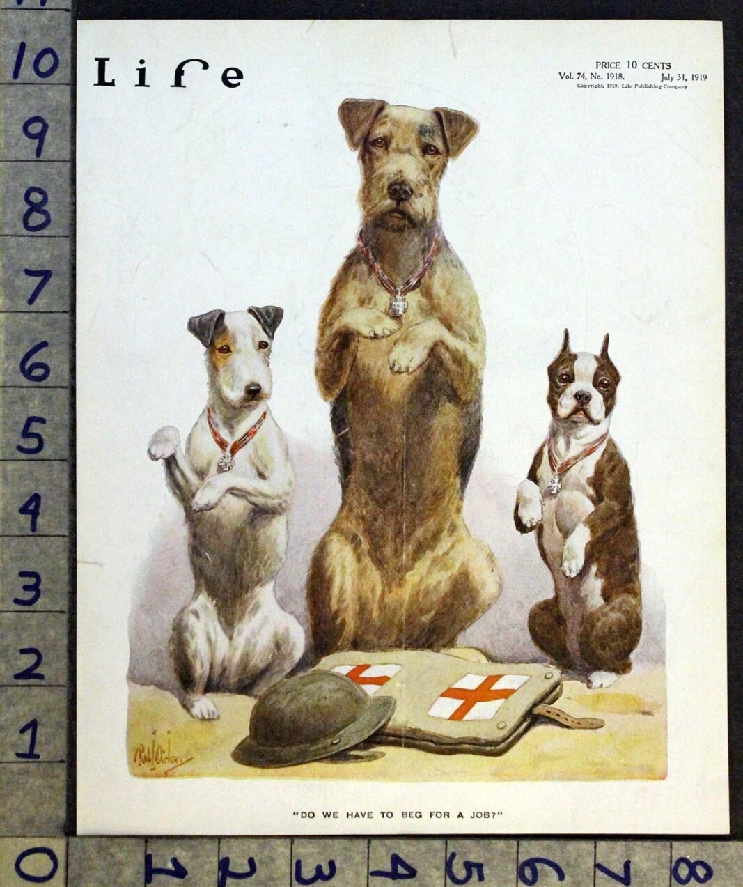 1919 TERRIER DOG BOSTON BOXER RED CROSS MILITARY DICKEY LIFE ART COVER ...