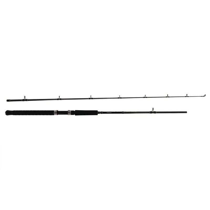 Medium Heavy Downrigger Rod 8'6" Casting Rod Medium Heavy Power | eBay