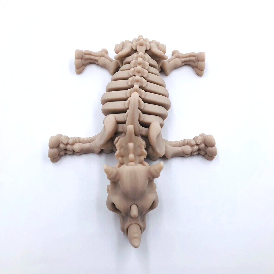 3D Printed Skeleton Rhino Bone Animal Display Toy Articulated Skeletal ...