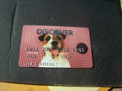 DISCOVER CREDIT CARD-DOG | eBay