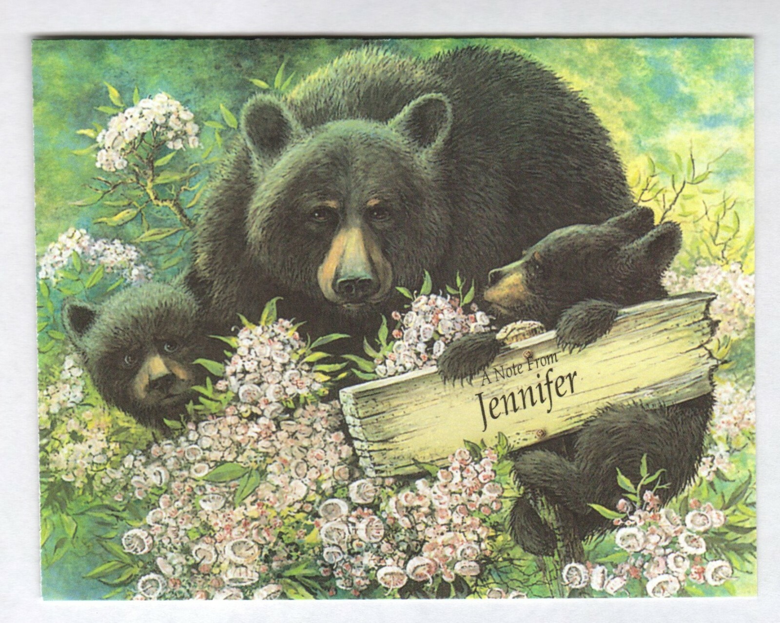 Jennifer Note Cards, Black Bear & Cubs, Set of 7 Blank Inside Rustic A ...