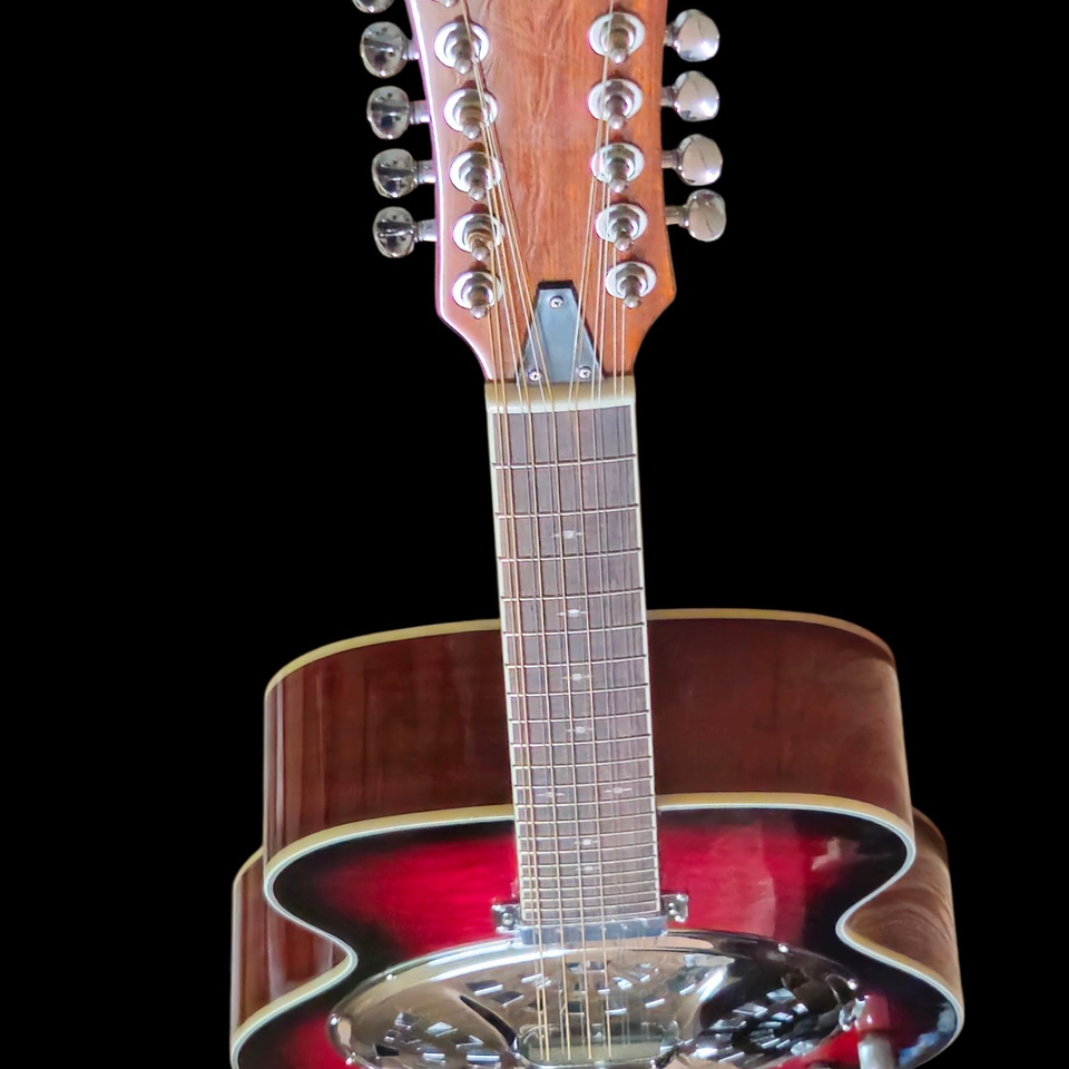 GREAT PLAYING NEW CUSTOM 12 STRING RESONATOR ACOUSTIC/ELECTRIC GUITAR ...