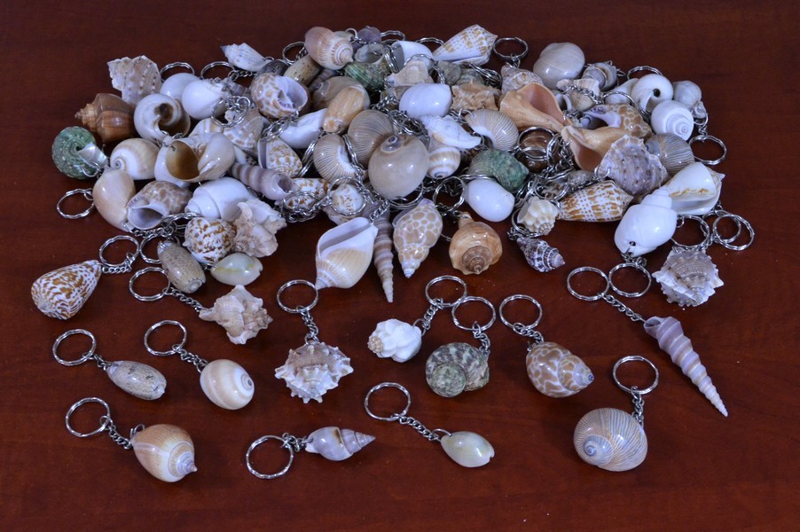 100 PCS ASSORT MIX SEA SHELL KEY RING CHAIN BEACH #7659 | eBay