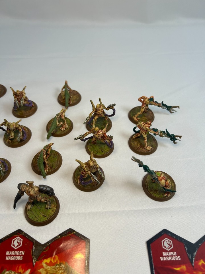 Heroscape Marro Army Lot Ne-Gok-Sa Warriors Stingers Drudge Nagrubs ...