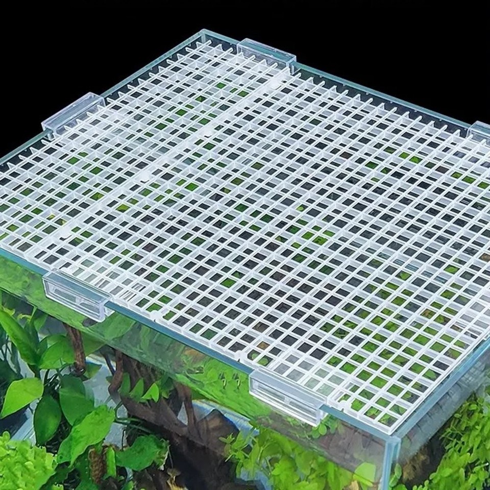 10 Pcs Aquarium Fish Tank Isolation Plate Divider Patition Board ...