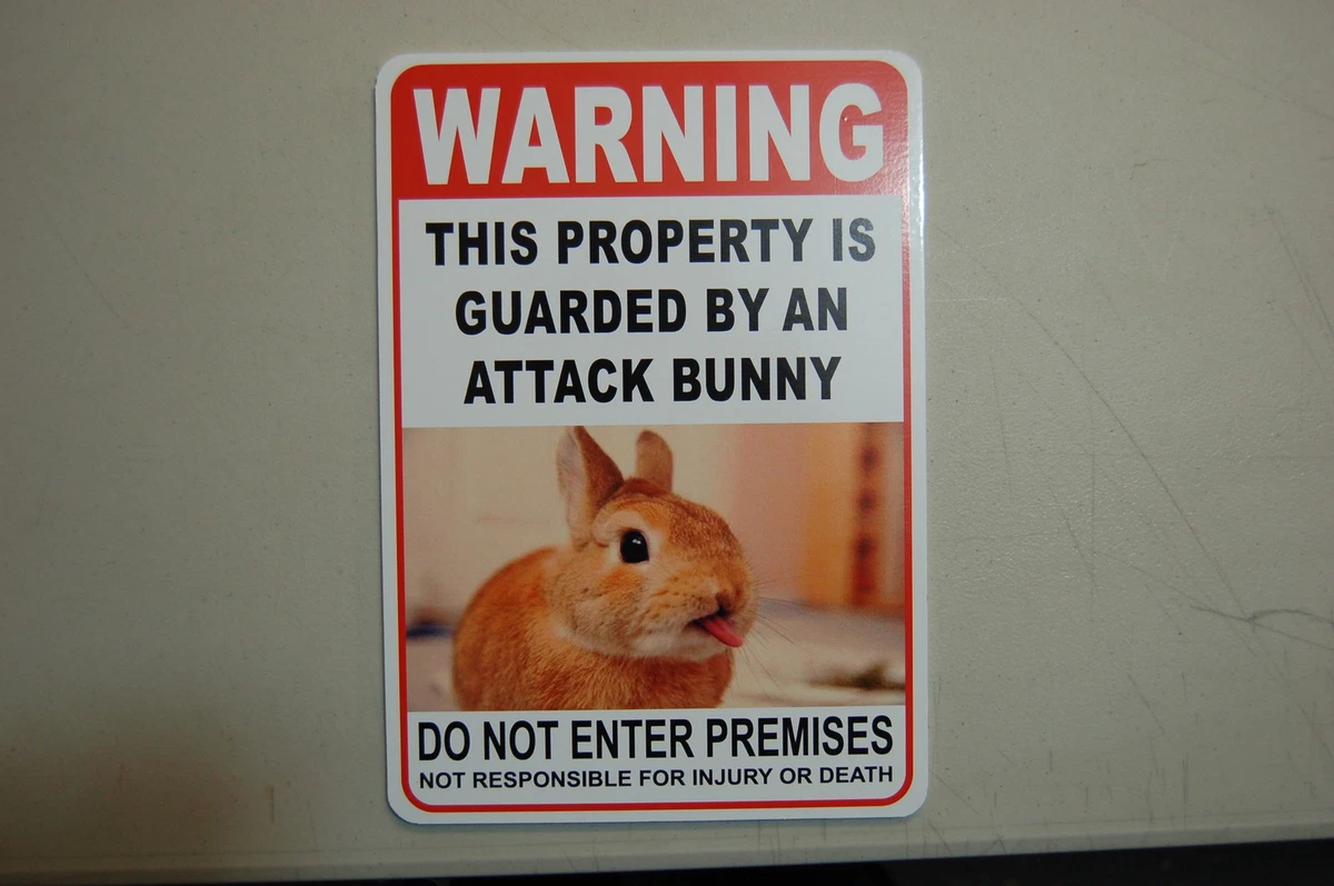 Attack Bunny