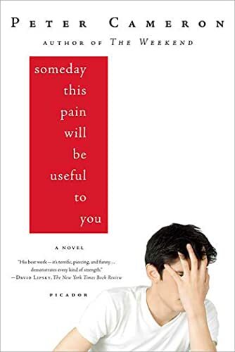 Someday This Pain Will Be Useful to You, Cameron, Peter 9780312428167 | eBay.de