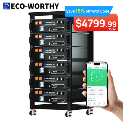 ECO-WORTHY 6Pack 30.72kWh 48V 100AH Server Rack LiFePO4 Lithium Battery ...