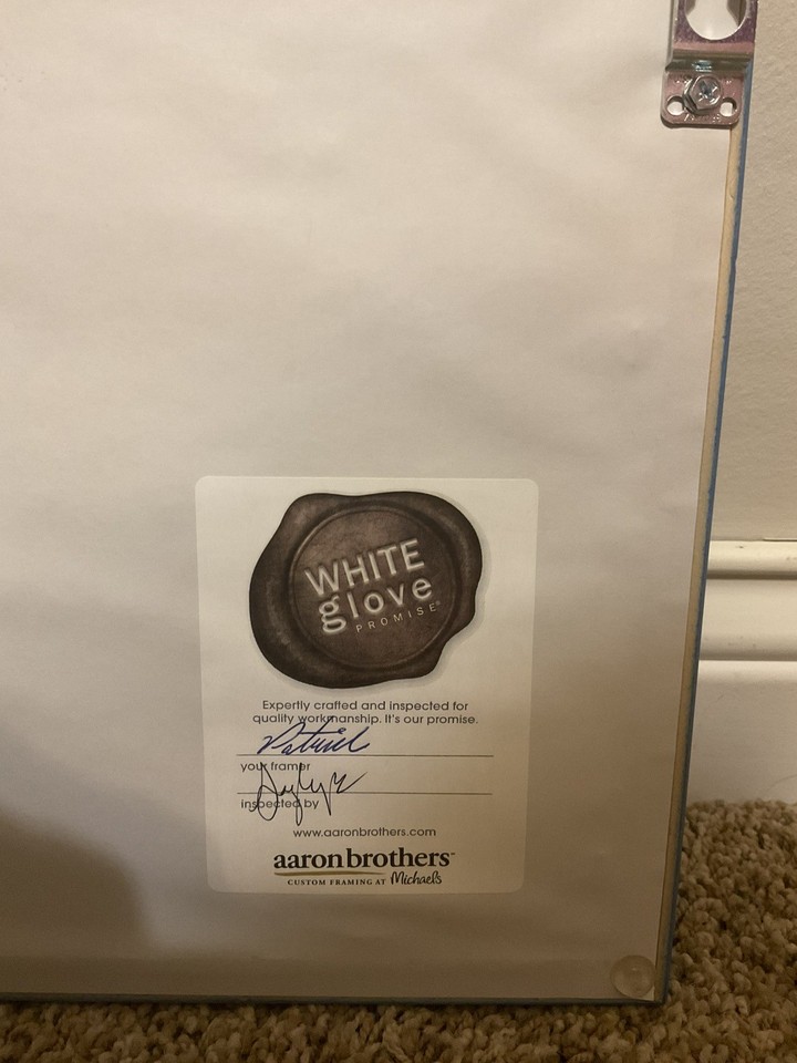 Elsa and Anna from Frozen - Diamond Dotz Completed & professionally ...