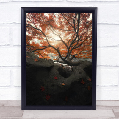 Maple Perspective Tree Autumn Fall Leaves Wall Art Print | eBay