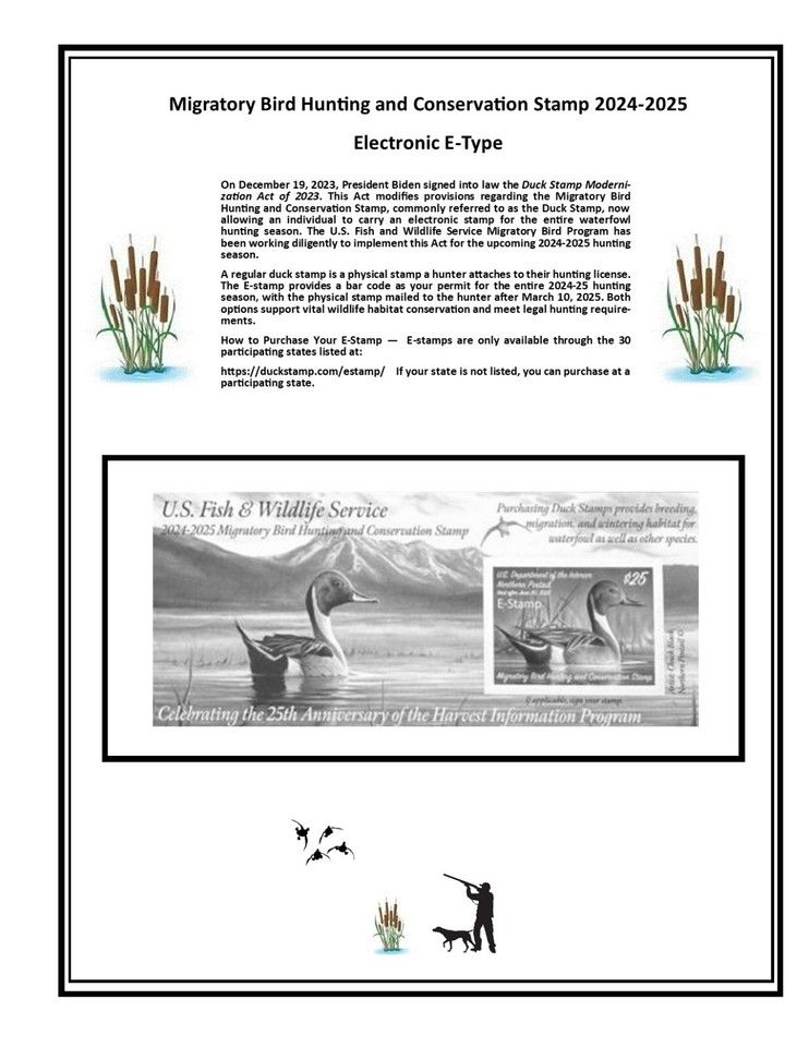 Mac's RW91 + E-stamp 2024-2025 U.S. Federal Duck Stamp Album Supplement ...