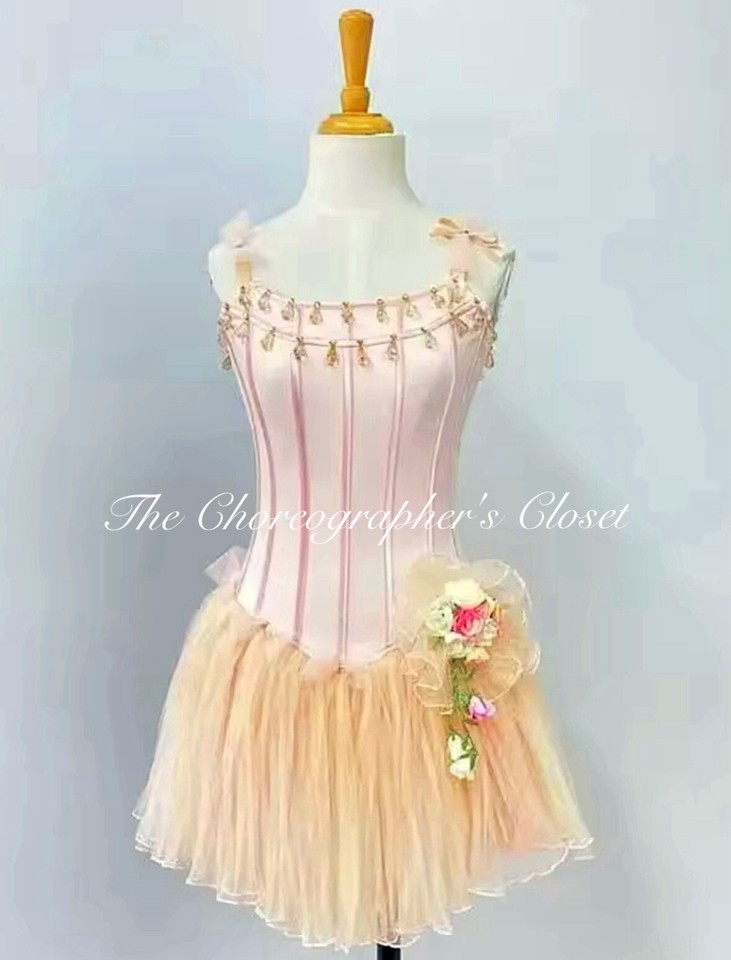 Professional Pink Nutcracker Dew Drop Fairy Dress Tutu Costume XS Adult ...