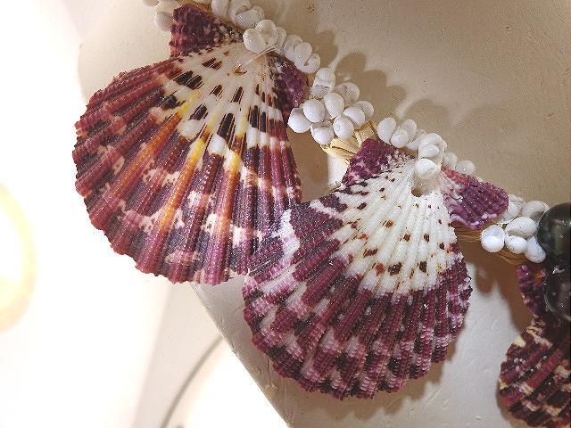 Tongan Hand Crafted Royal Cloak Scallop Sea Shell Black Tahitian Pearl ...