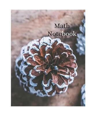 Math Notebook: 120 pages, math notebook, quad ruled workbook, 8.5 x 11 ...
