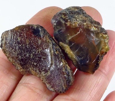 5.6g Natural Indonesian Blue Amber Copal Collection Rough Specimen ...