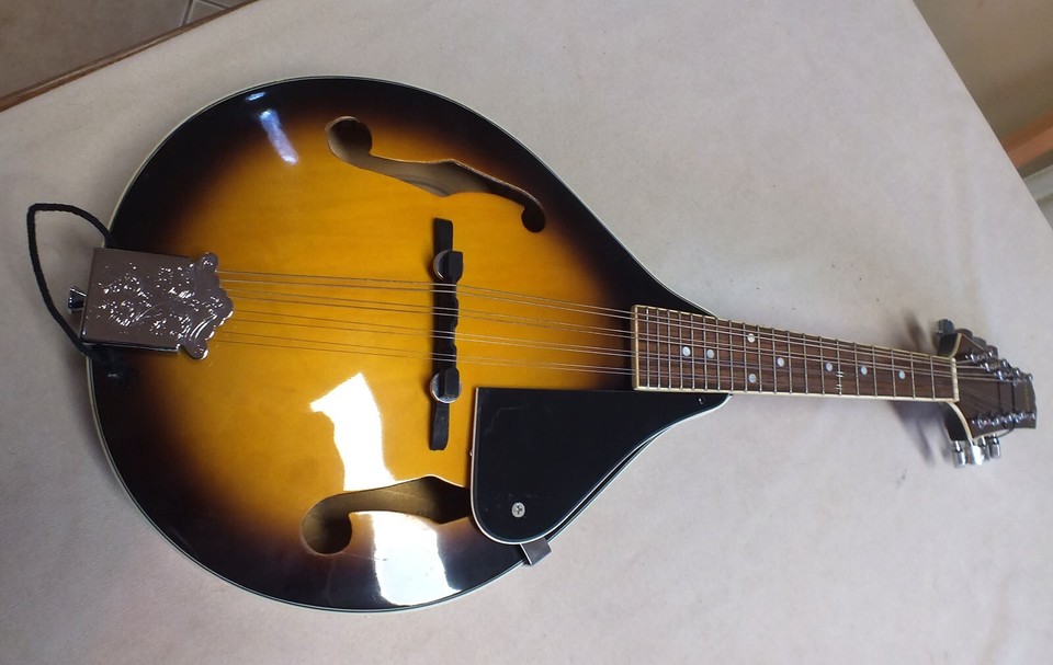 Nice Johnson Oval Hole Mandolin Model MA-100 | eBay