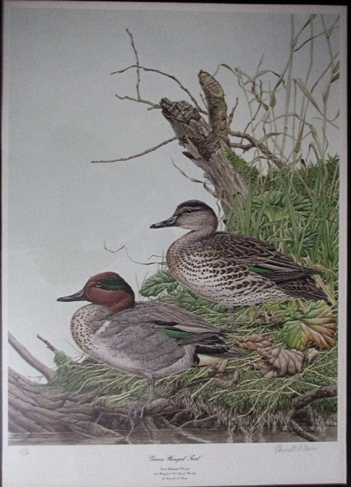 KENNETH A. FERRIS LITHOGRAPH S/N GREEN WINGED TEAL DUCK 1984 WATERFORD ...