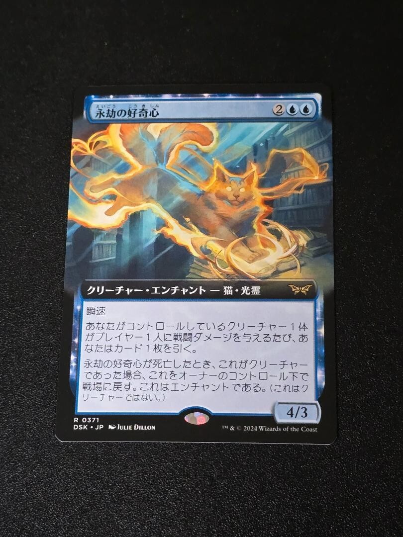 Enduring Curiosity Borderless DSK MTG JPN Duskmourn House of Horror NM ...