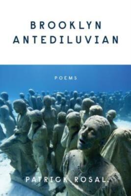 Brooklyn Antediluvian: Poems 9780892554744| eBay
