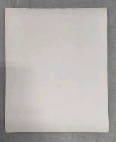 Photo Modern Ballet Dancer Flower Hujer 8"X10" NYC Promo The Musicians ...