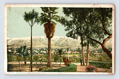 Postcard California Pasadena CA Snow Palm Trees 1910s Unposted Divided ...