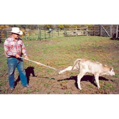 Calf Catcher Kalf Katcher Aluminum Adjustable 5-10ft Pole w/ Calf Hook ...