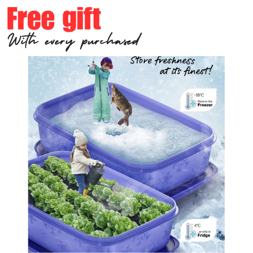 Tupperware Blue Freezer Mates Plus Medium Deep Snowflake Container 2.5L ...